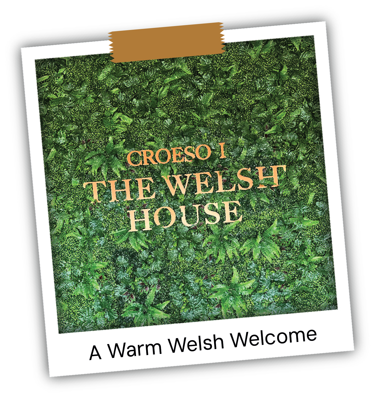 The Welsh House Way